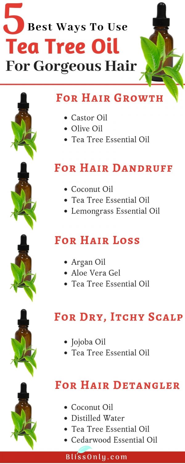 5 Best Ways To Use Tea Tree Oil For Hair - BlissOnly