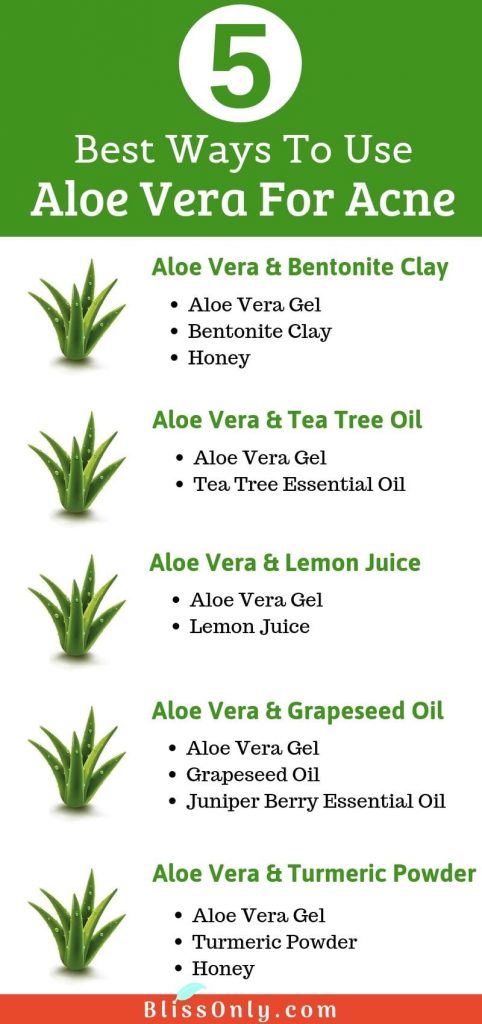 5 Best Ways To Use Aloe Vera For Acne - BlissOnly